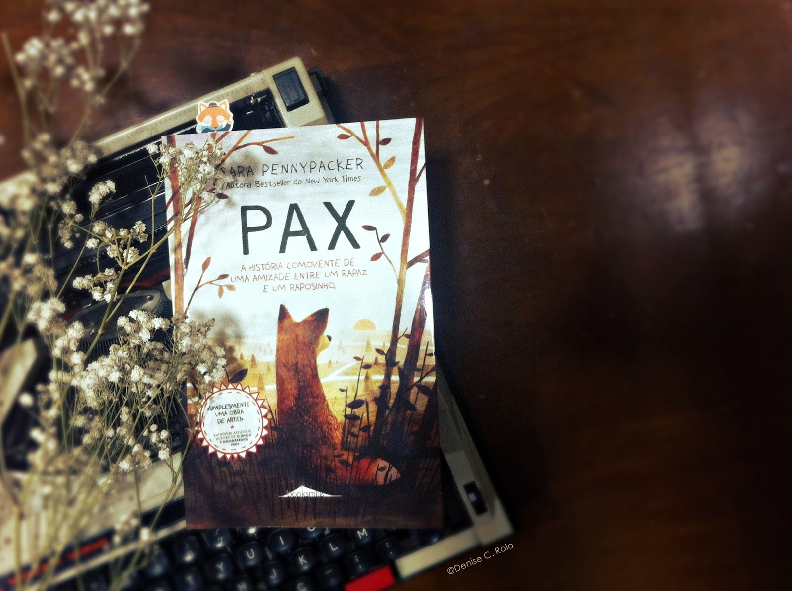 Ler(-te): Pax (Sara Pennypacker)