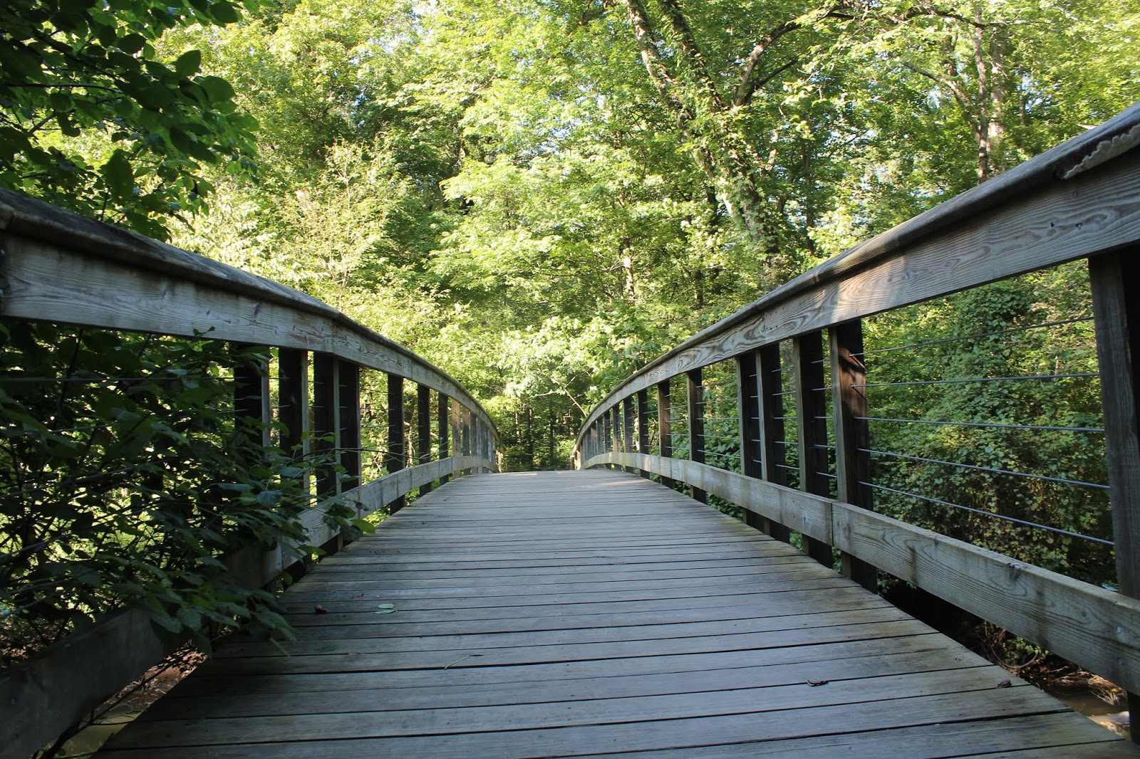 FINALLY - Visiting Warren Woods State Park