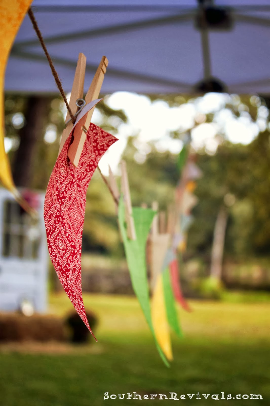 Our Country Fair Birthday Party - Southern Revivals