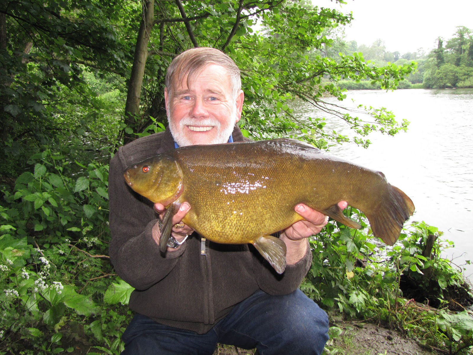 Travelling Man: A pair of monster tench.