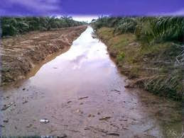 Perawatan Parit Kebun Kelapa Sawit