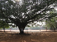 TRICHY TALKS: RSK School Trichy