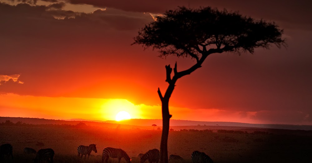 Südafrika? - Südafrika!: Goeie dag!