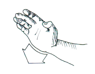 Body Parts Name - Kyokushin Karate