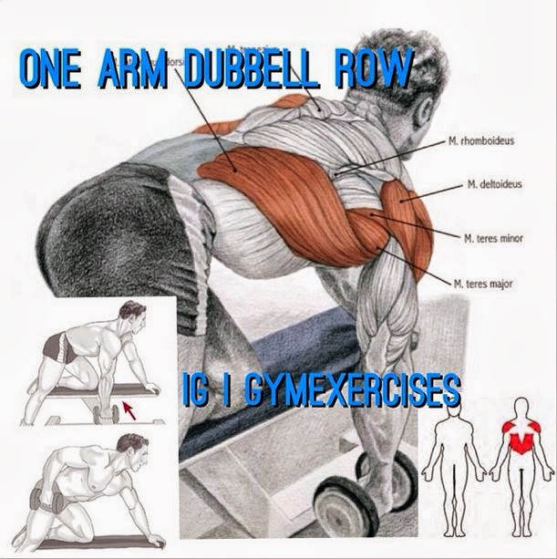 One-Arm Dumbbell Row Exercise Guide
