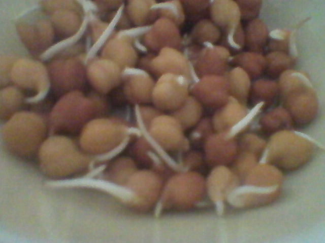 How to grow kala chana (black gram) sprouts at home | Annapurna