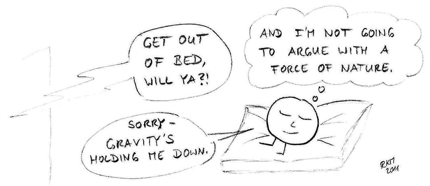 Looking inside the standard model: The forces of nature I - Gravity