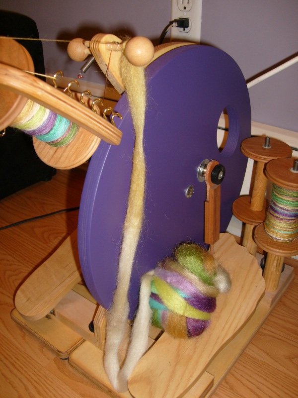 Revelations of a Delusional Knitter: Spinning on a little bug
