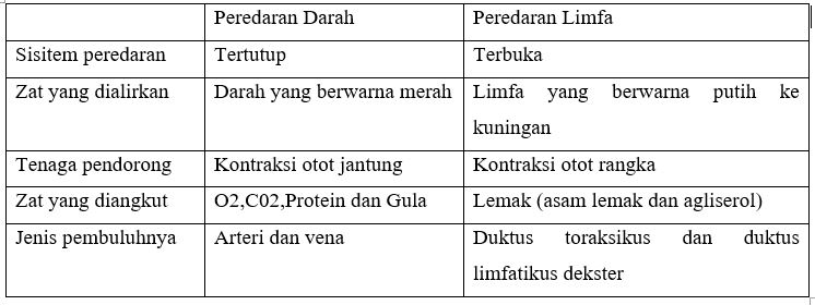 Fungsi Sistem Limfatik Bagi Manusia dan Penjelasannya Secara rinci ...