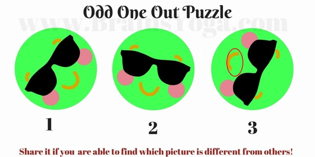 Odd One Out Picture Puzzle for Kids with Answer