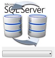 How to Load Data From SQL Server Into Combo Box in VB.Net