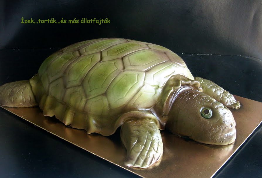 Ízek...torták...és más állatfajták: Teknősbéka torta Ízek...torták...és más állatfajták: Teknősbéka torta