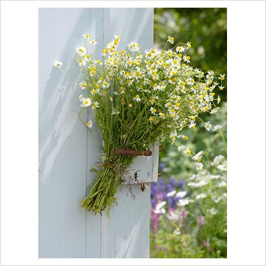 Medieval Bride: Medieval flowers