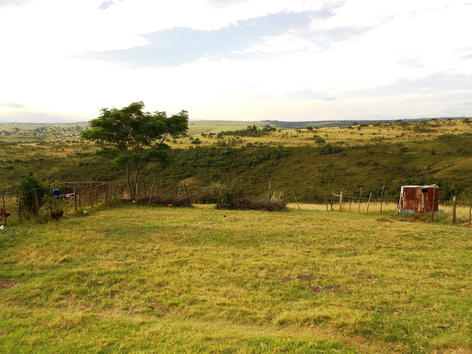 Megan's Great African Adventure: Tshabo: Rural Village Homestay