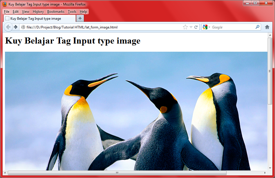 Fungsi Input Type Image Beserta Cara Penggunaannya