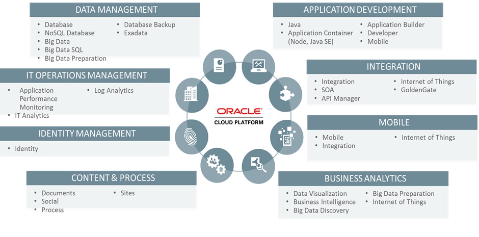 Oracle Fusion Middleware SOA Recipes : Oracle Cloud Platform for ...
