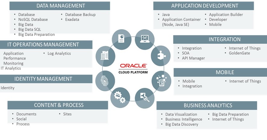 Oracle Fusion Middleware Soa Recipes Oracle Cloud Platform For Digital Business Paas