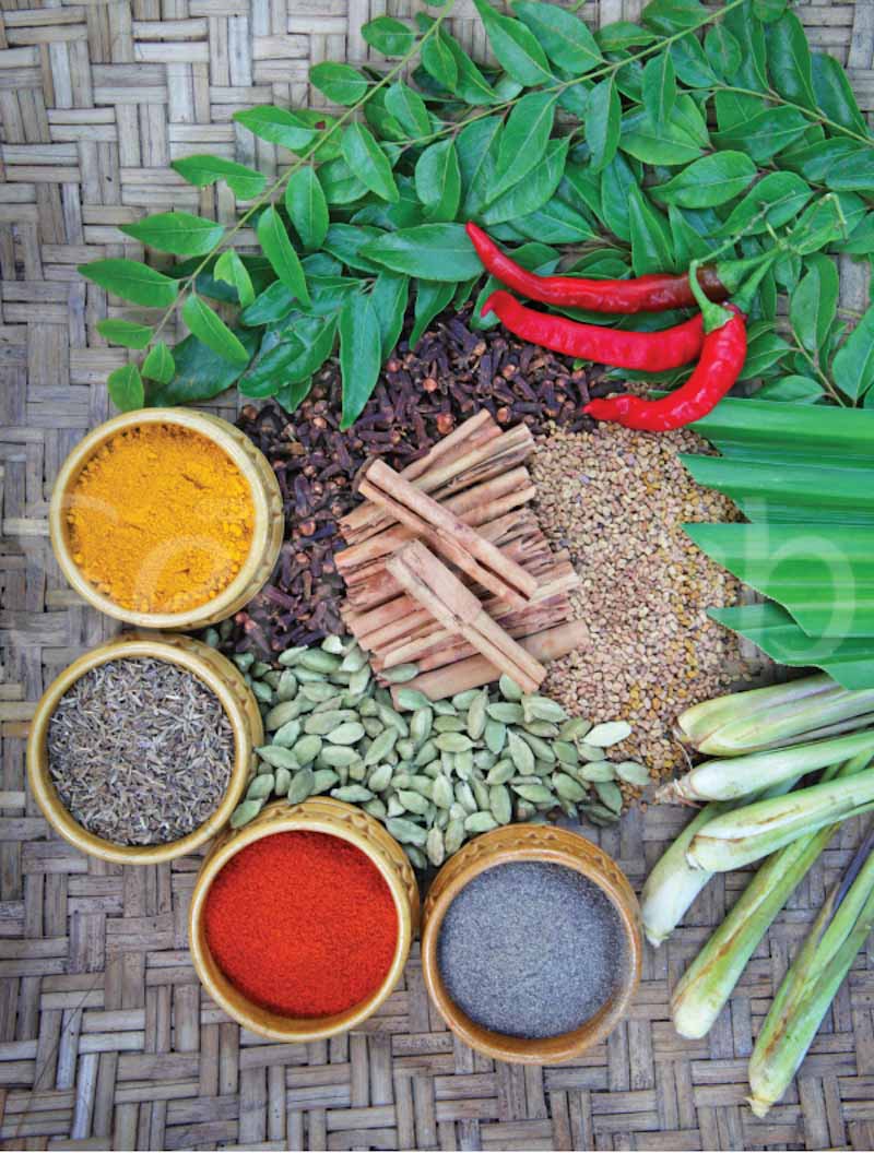 CEYLON SPICES FOR THE FUTURE | Number One Travel Destination