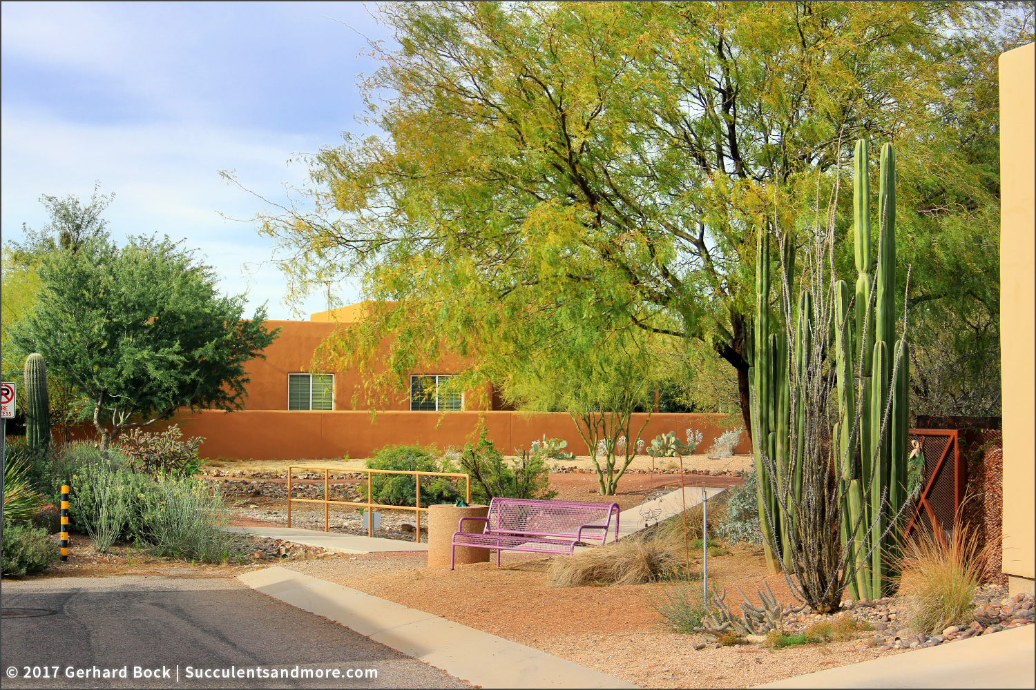 Tucson's Civano community: where I'd love to live