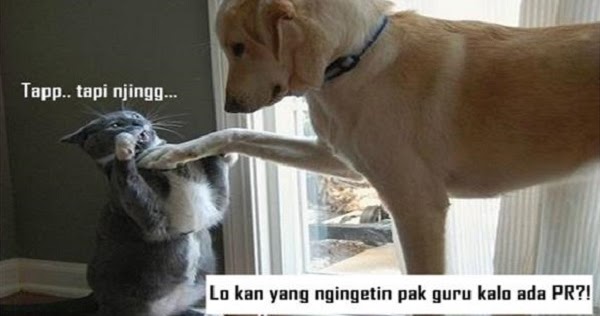 74+ Kata Lucu Anjing
