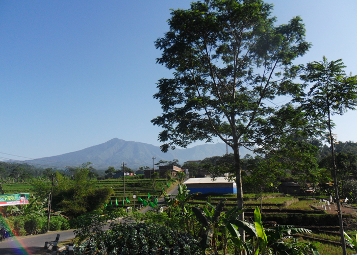 Foto Pemandangan Disekitar Homestay | Homestay Wisata Dieng Wonosobo