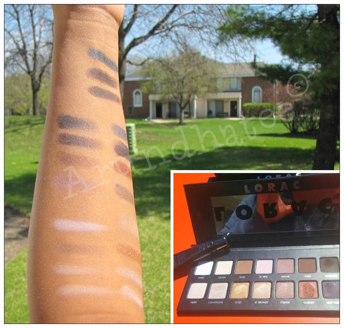 Discovering me: Lorac: PRO Palette- Shimmer & Matte Eye Shadow Palette