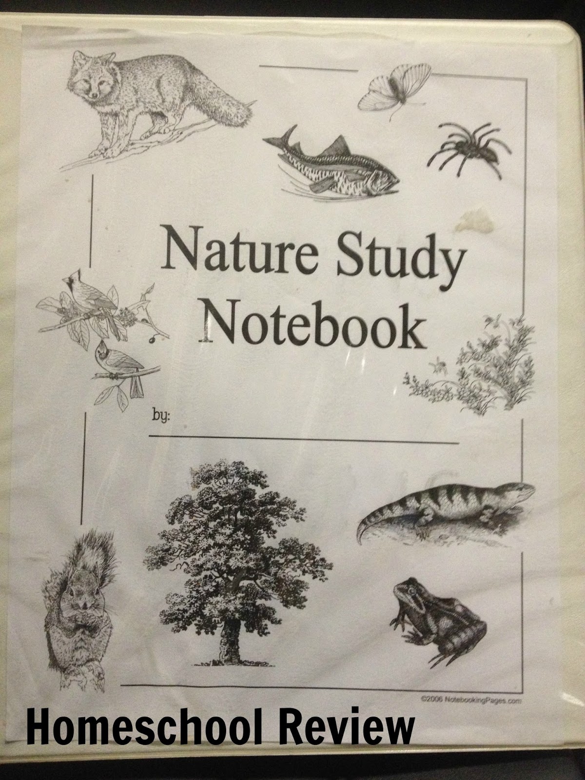 Homeschool Review: Notebooking Pages -- A Schoolhouse Crew Review