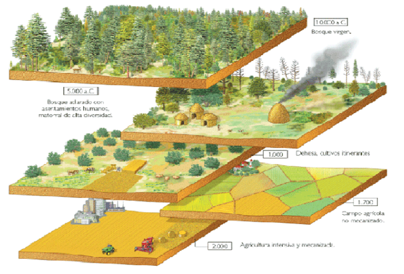 Publicaciones de Geografía Maestra Angelica: Definición del espacio ... Publicaciones de Geografía Maestra Angelica: Definición del espacio ...