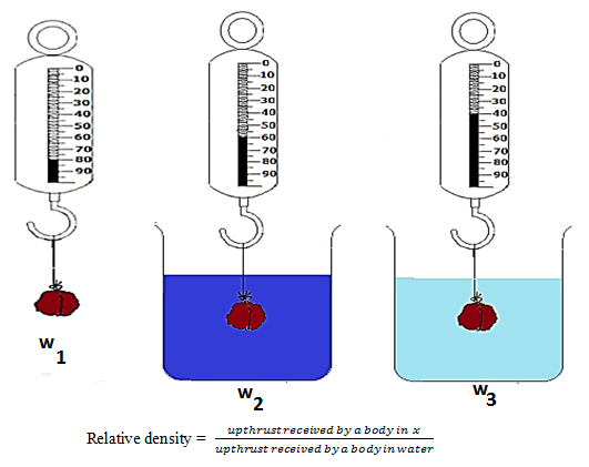 PHYSICS : ARCHIMEDES' PRINCIPLE