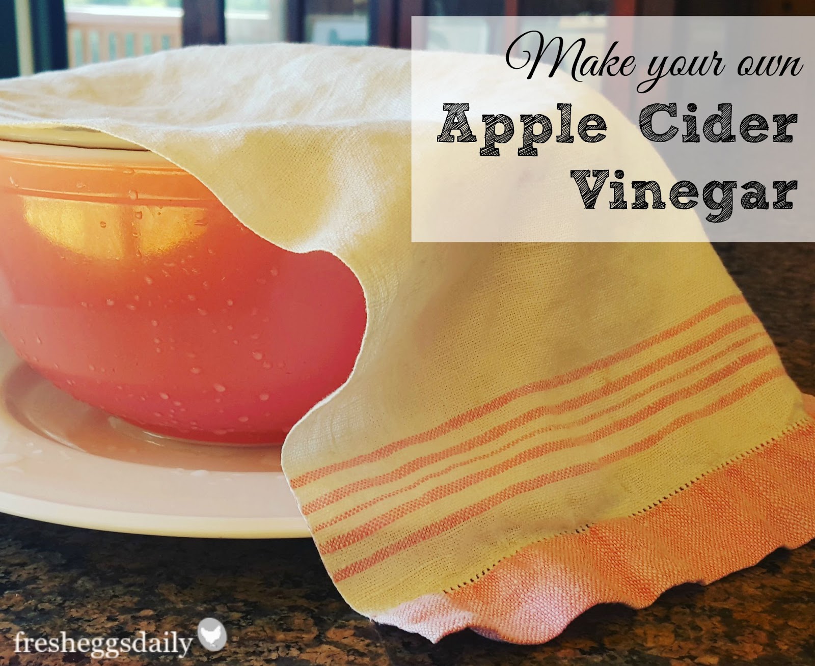 Make Your Own Homemade Apple Cider Vinegar Fresh Eggs Daily Make Your Own Homemade Apple Cider Vinegar Fresh Eggs Daily