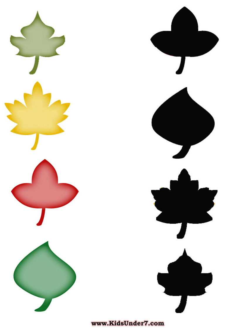 Kids Under 7: Shadow worksheets. Part 2