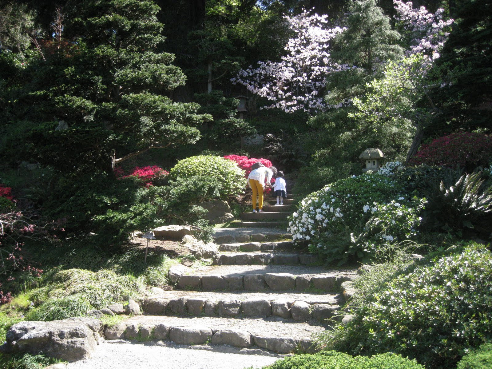 Sissel Olga goes to San Jose: Japansk hage