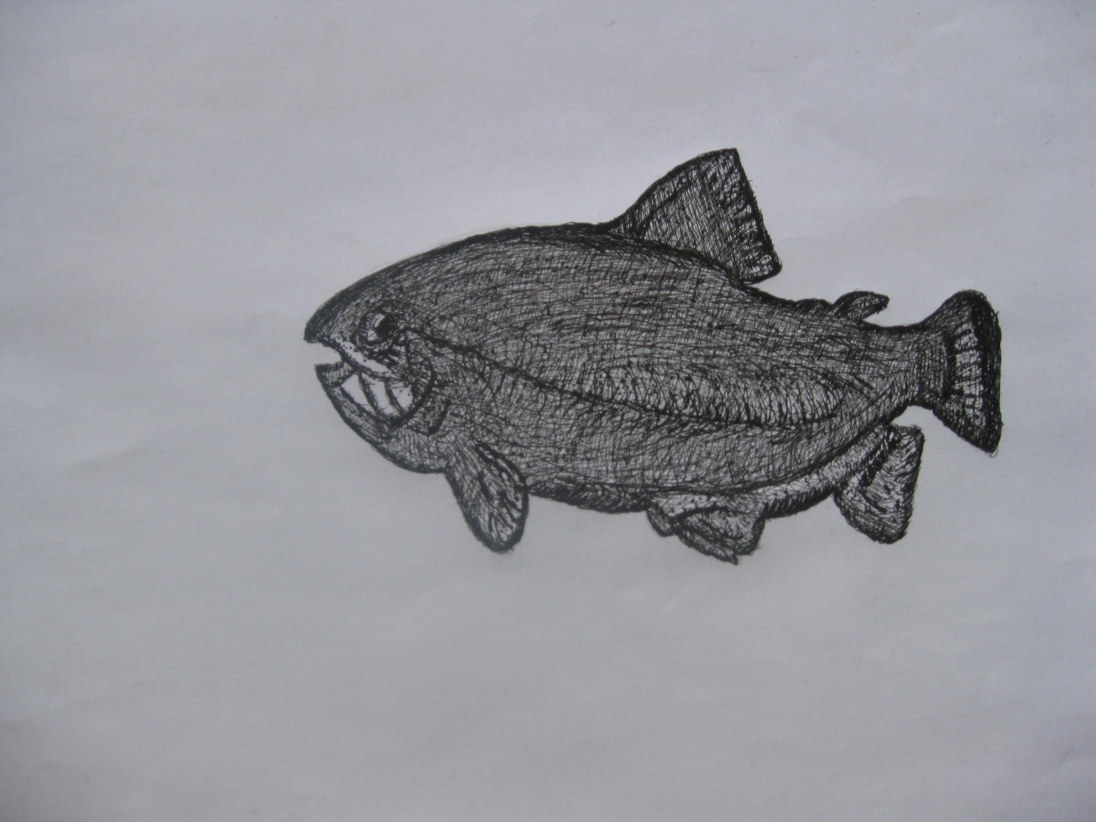 Montevallo Dept of Art May Drawing: Denise Wilson Cross Hatching