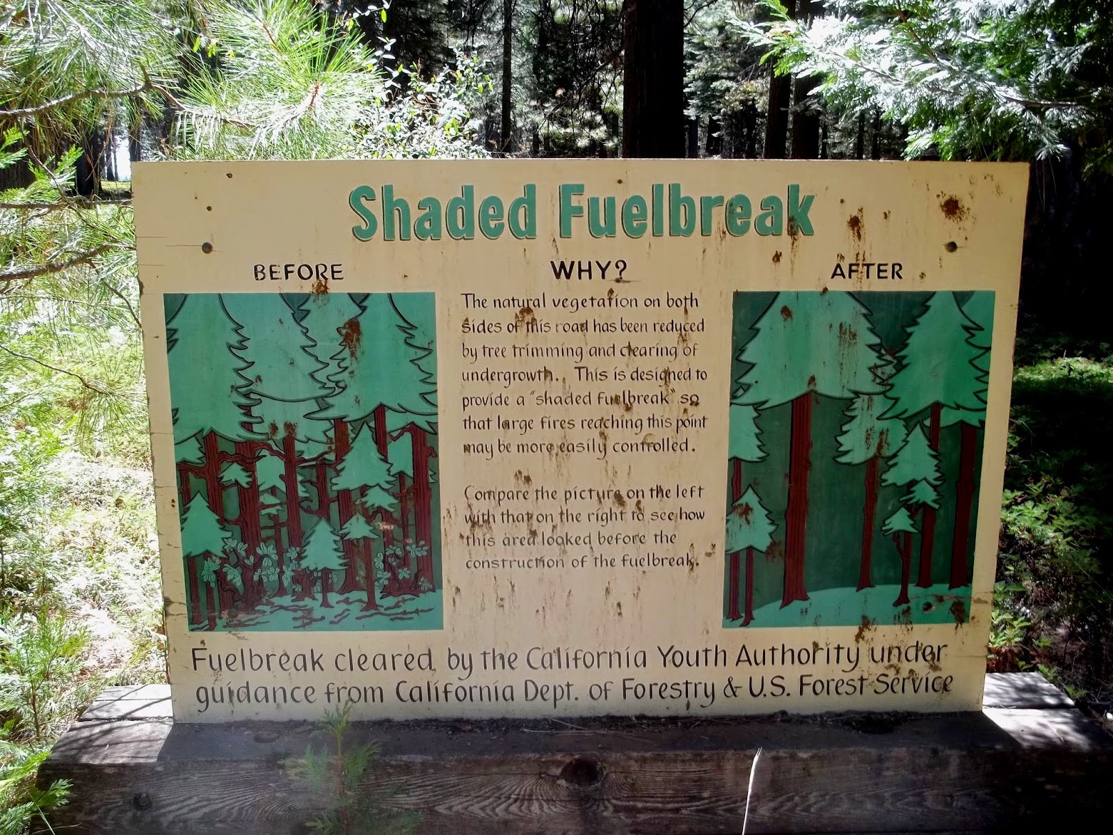 Official Quiet Warrior Racing Blog: Shaded Fuel Breaks - Vital Tool in ...