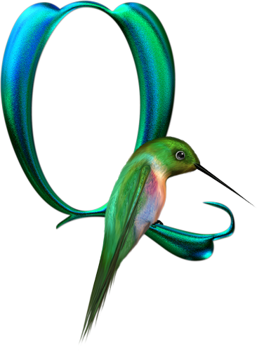 Abecedario de Colibrí. Hummingbird Alphabet. - Oh my Alfabetos!