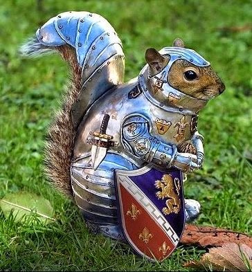 What's on your mind now?