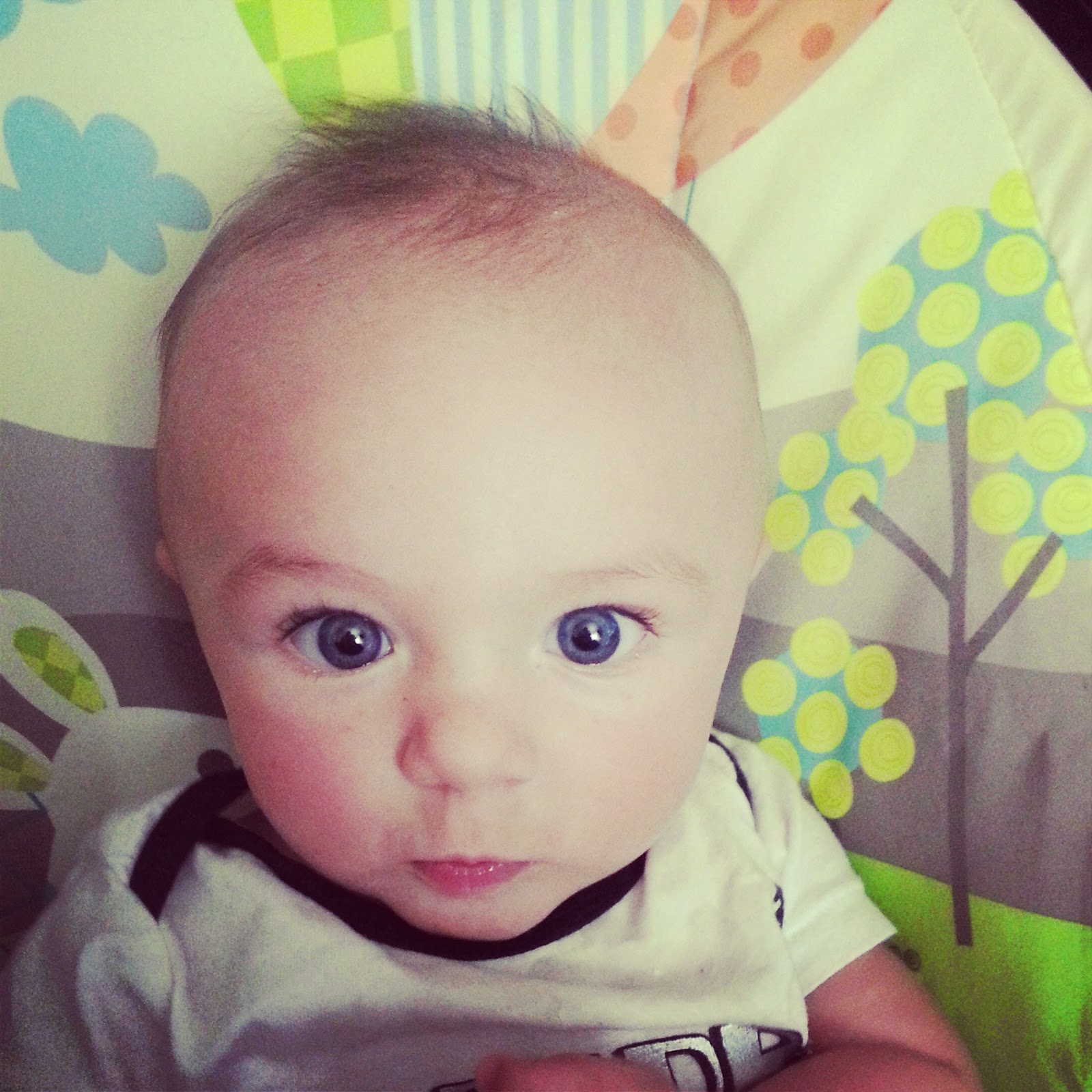 Ostrom Family Adventures