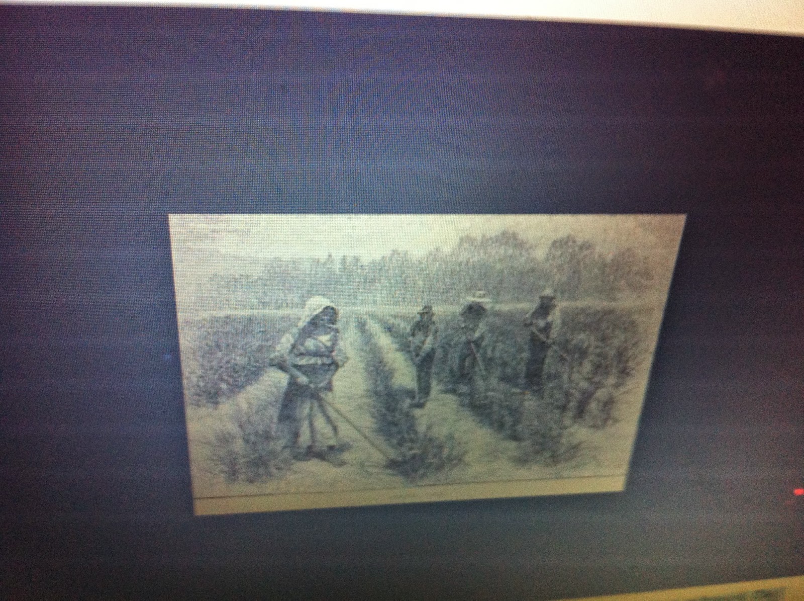 THE BLACK SOCIAL HISTORY:: BLACK SOCIAL HISTORY : 1739 STONO REBELLION ...