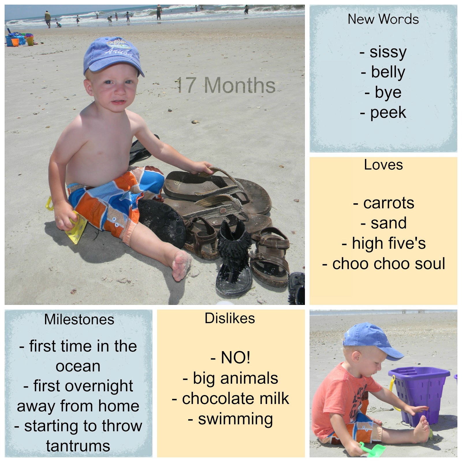 Raising our Little DevilPups: 17 Months Old