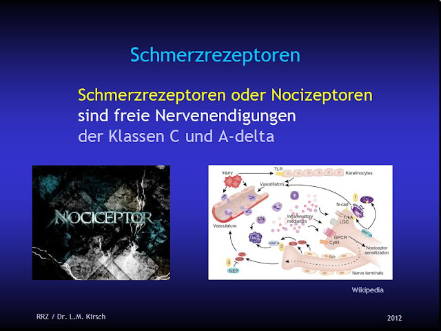 Rheumatologe: Verschiedene Schmerzarten in der Rheumatologie