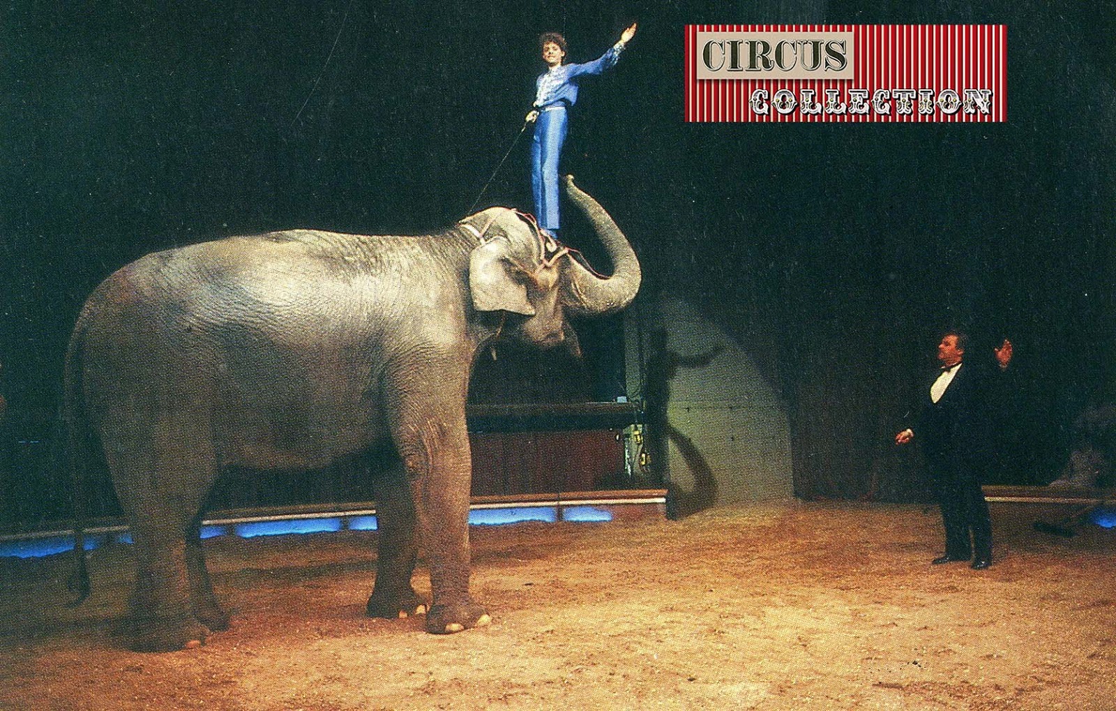 Circus -Collection: Les éléphants au cirque Knie 1980-1989
