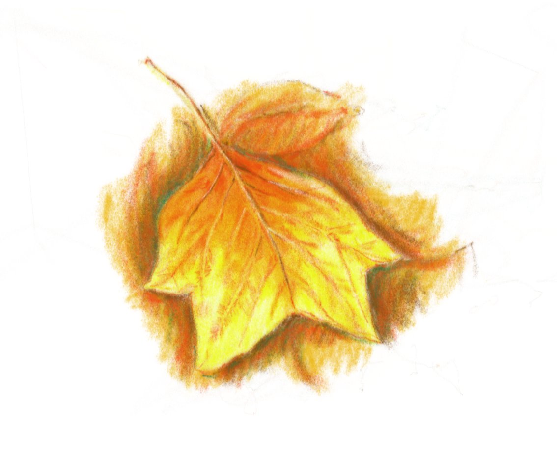 Digital pastel sketch of a leaf done with MyPaint