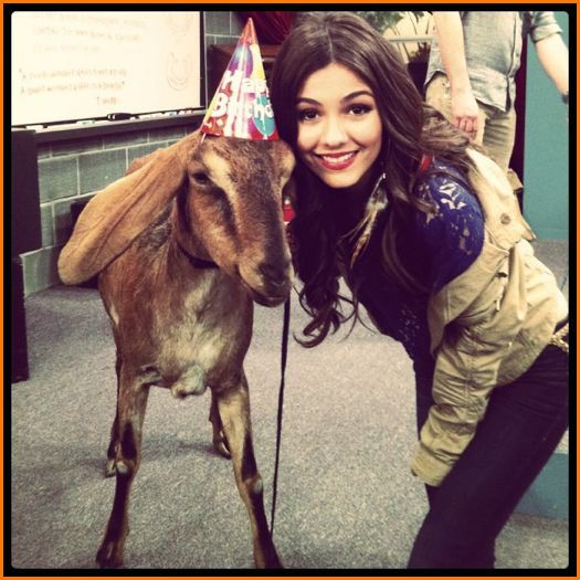 Ajuda-me ater Drake bell na minha vida: Drake Bell em Victorious