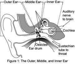 Blog aboute Bppv Canalith Repositioning!