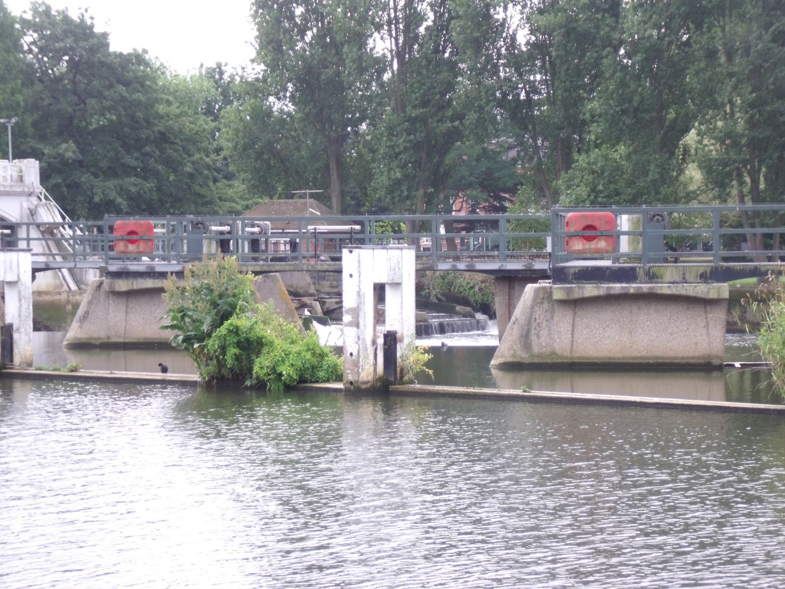 62andthenext10pathways: Day 6 Teddington to Shepperton
