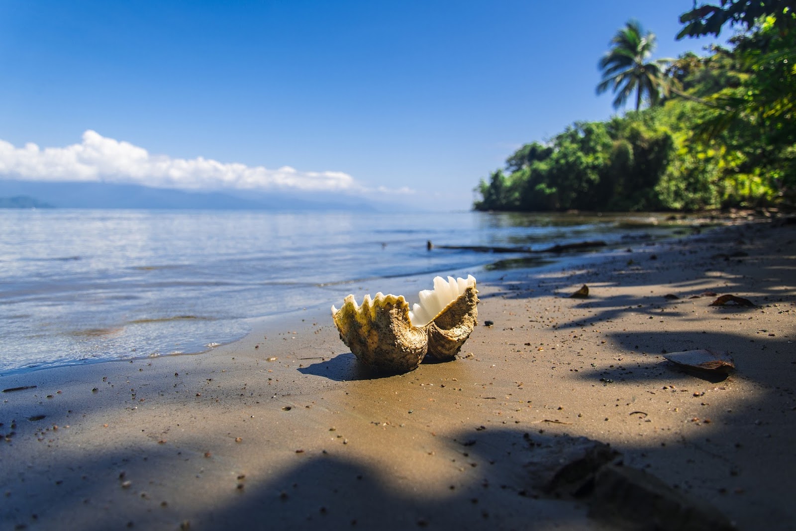 Malum Nalu: Salamaua: The rising phoenix
