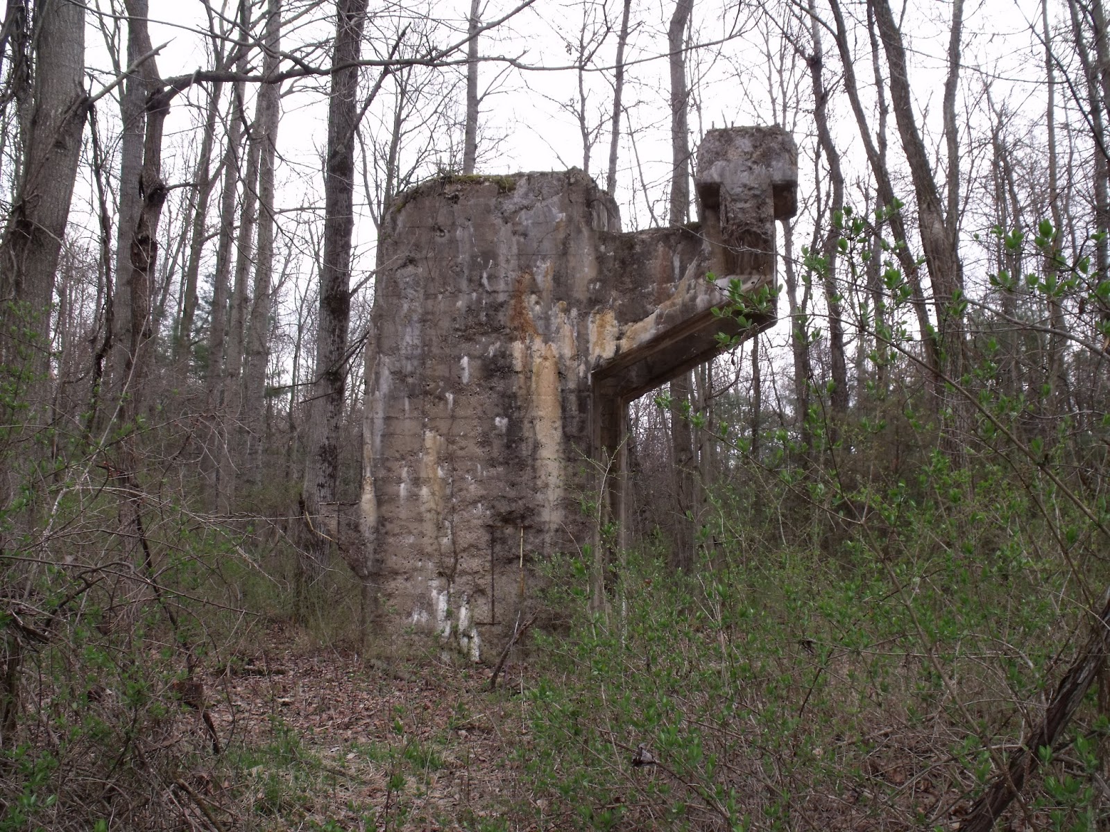 Discovery PA: Scotia Barrens & The Black Ghost