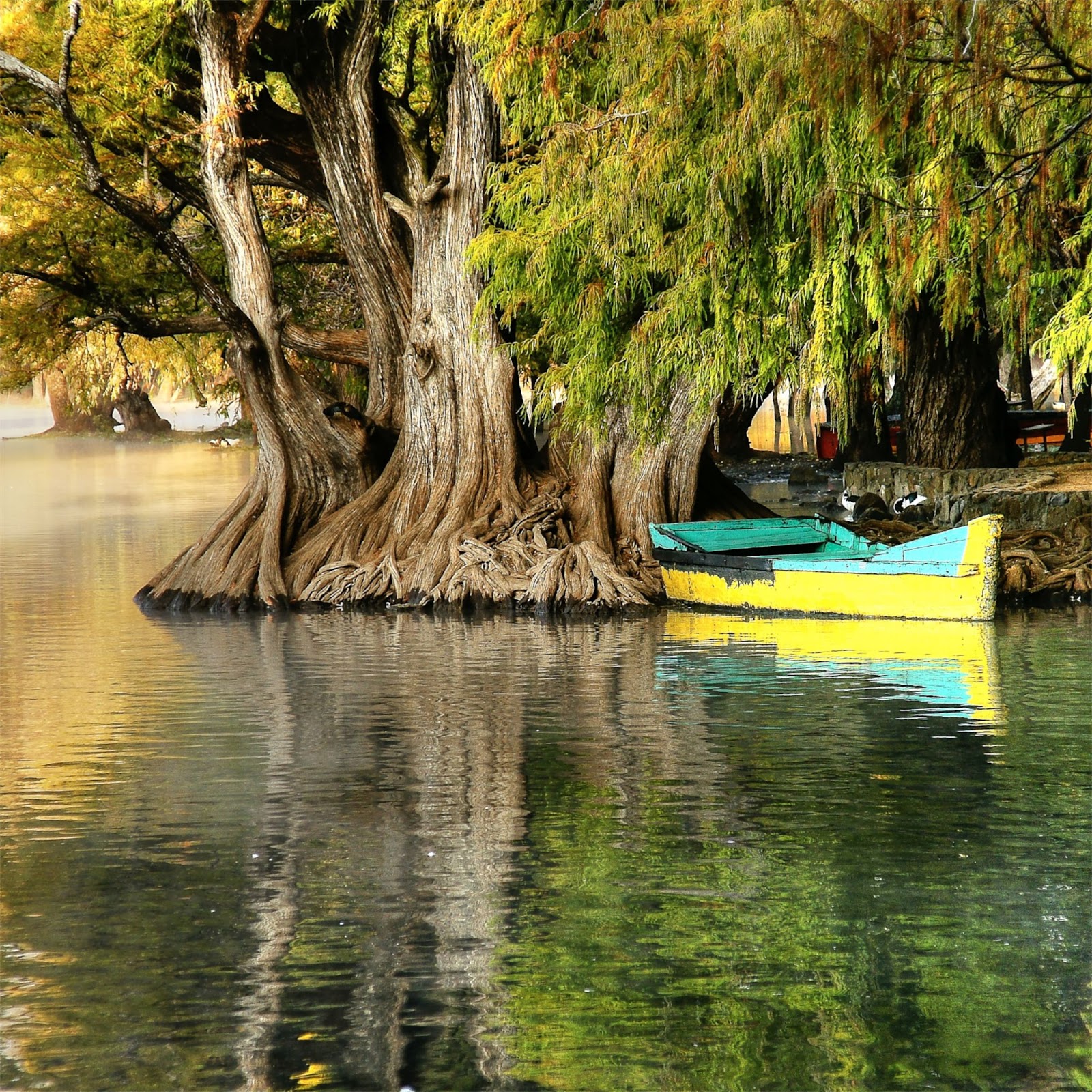 Jaime Ramos Méndez: Lago de Camécuaro en el municipio de Tangancícuaro ...
