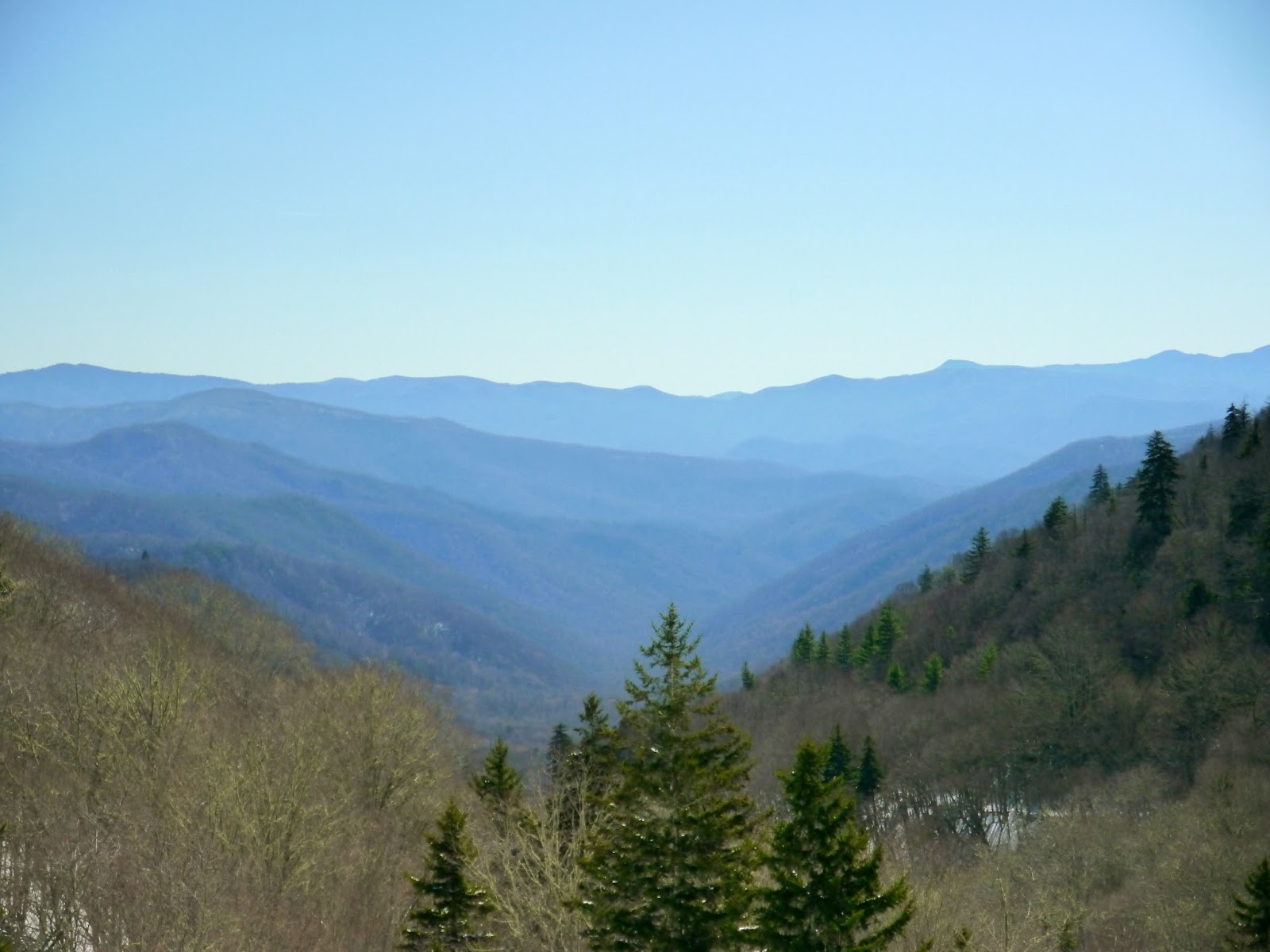 American Travel Journal: Early Spring on Newfound Gap Road - Great ...