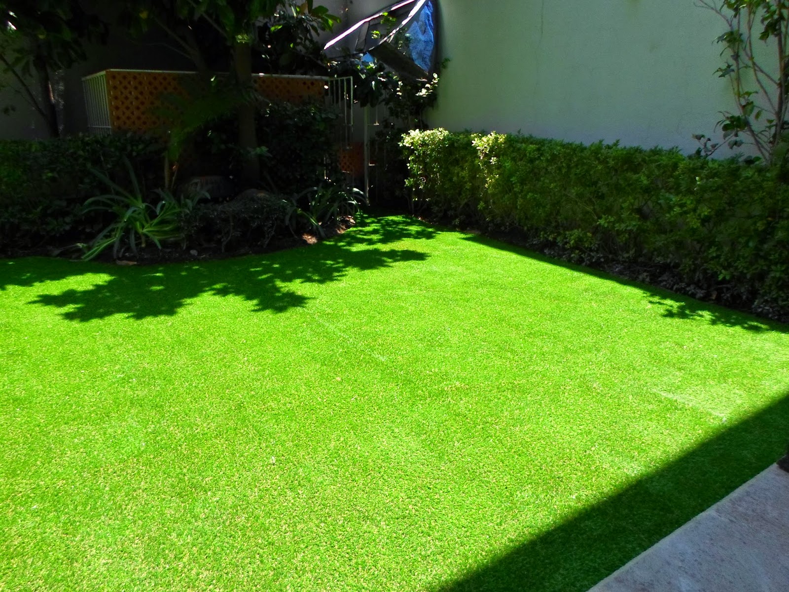 GUADALAJARA: 33-1578-2429 LIDERES EN PASTO ARTIFICIAL EN GUADALAJARA #1 ...